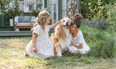 Hundegeburtstag | Dehner