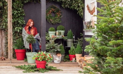 Outdoor-Pflanzen | Dehner