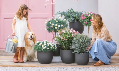 Registration | Dehner