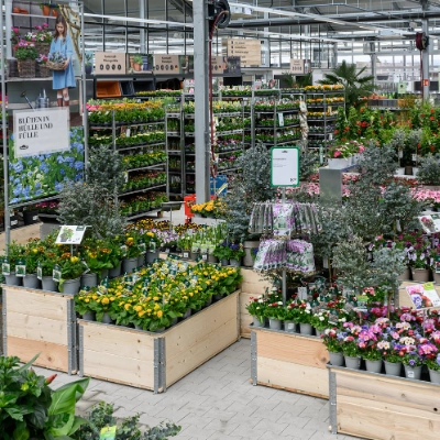 Dehner Garten-Center in Amstetten (Greinsfurth) | Dehner